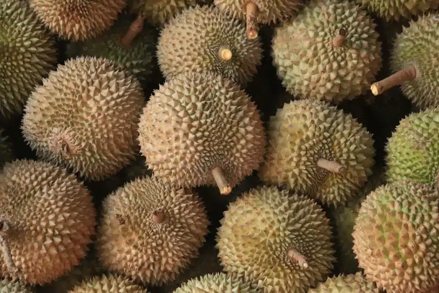 A Complete Guide to Fresh and High-Quality Durians from Durian36