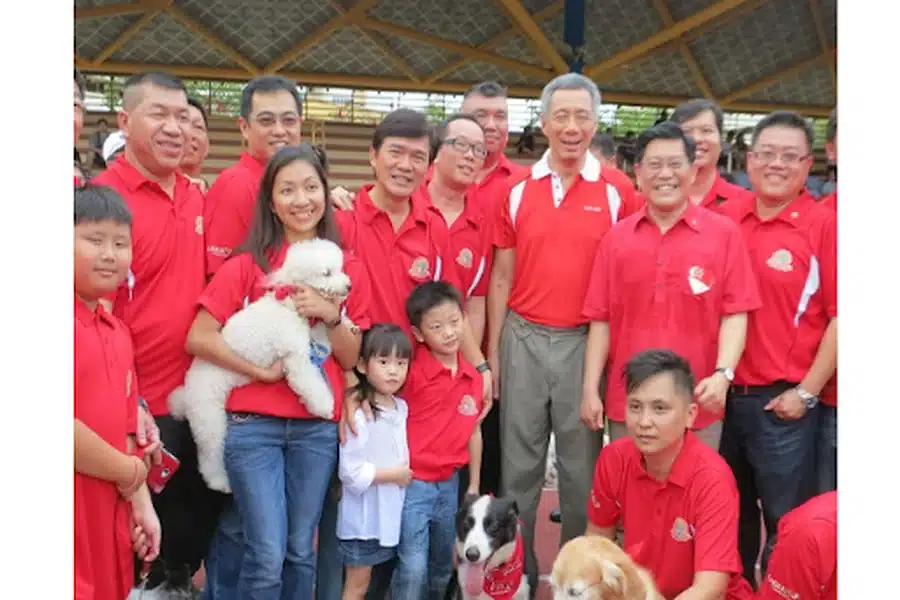 Waggie Dog Training School: A Leading Choice for Canine Training in ...